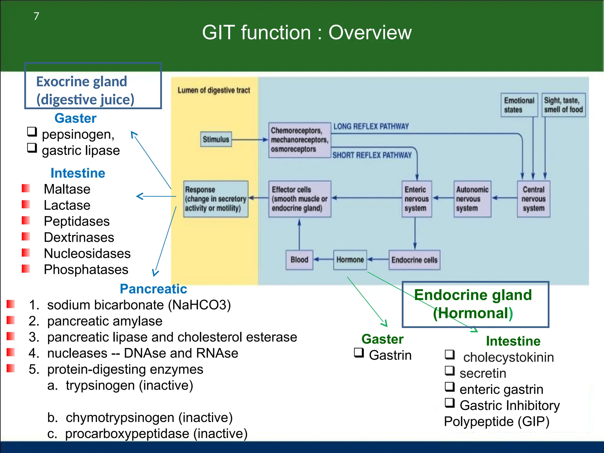 Lecture of upper Gatrointesinal tract.ppt