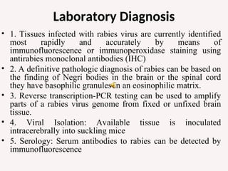 Lecture of Virology (Rabies)with Audio.ppt