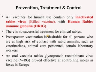 Lecture of Virology (Rabies)with Audio.ppt