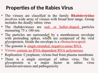Lecture of Virology (Rabies)with Audio.ppt