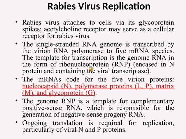 Lecture of Virology (Rabies)with Audio.ppt