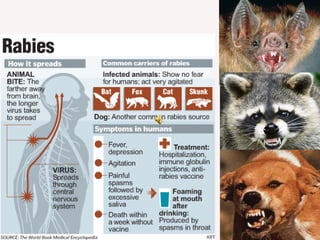 Lecture of Virology (Rabies)with Audio.ppt