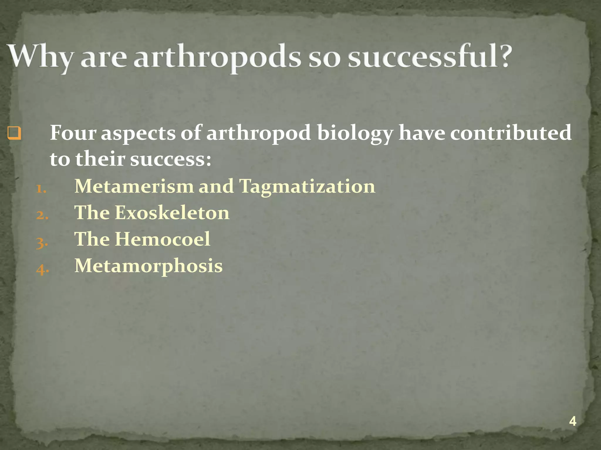 Lecture on arthropods and echinoderms.ppt
