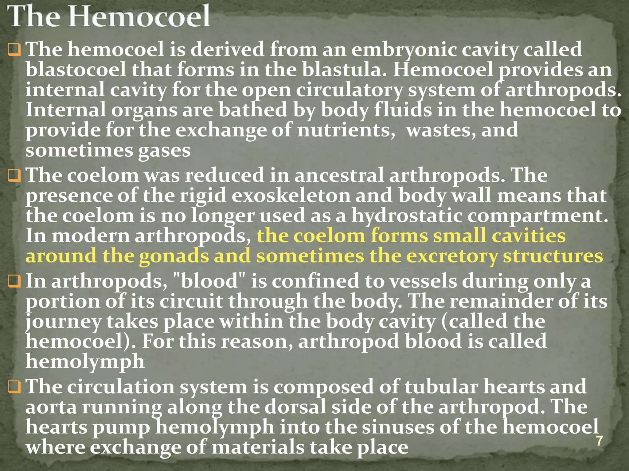 Lecture on arthropods and echinoderms.ppt
