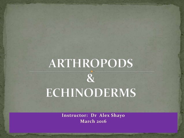 Lecture on arthropods and echinoderms.ppt