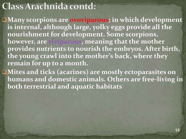 Lecture on arthropods and echinoderms.ppt