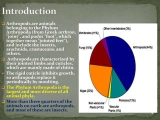 Lecture on arthropods and echinoderms.ppt