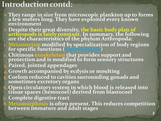 Lecture on arthropods and echinoderms.ppt