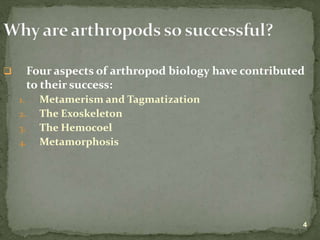 Lecture on arthropods and echinoderms.ppt