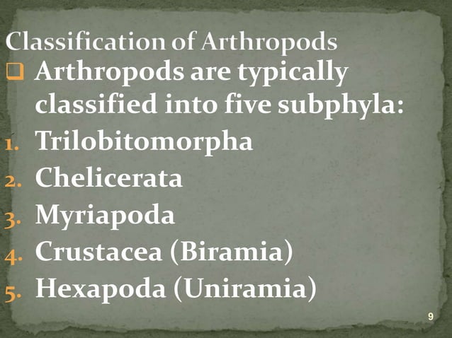 Lecture on arthropods and echinoderms.ppt