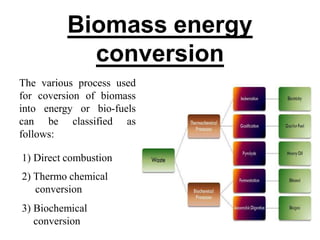 Lecture on biomass energy.pptx
