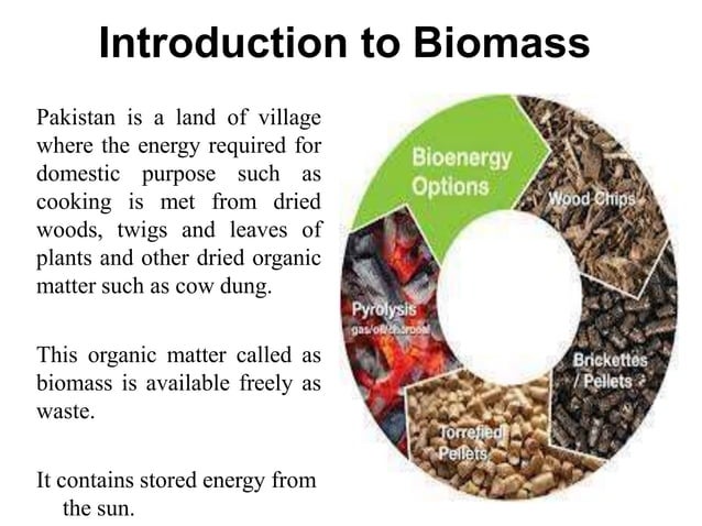 Lecture on biomass energy.pptx