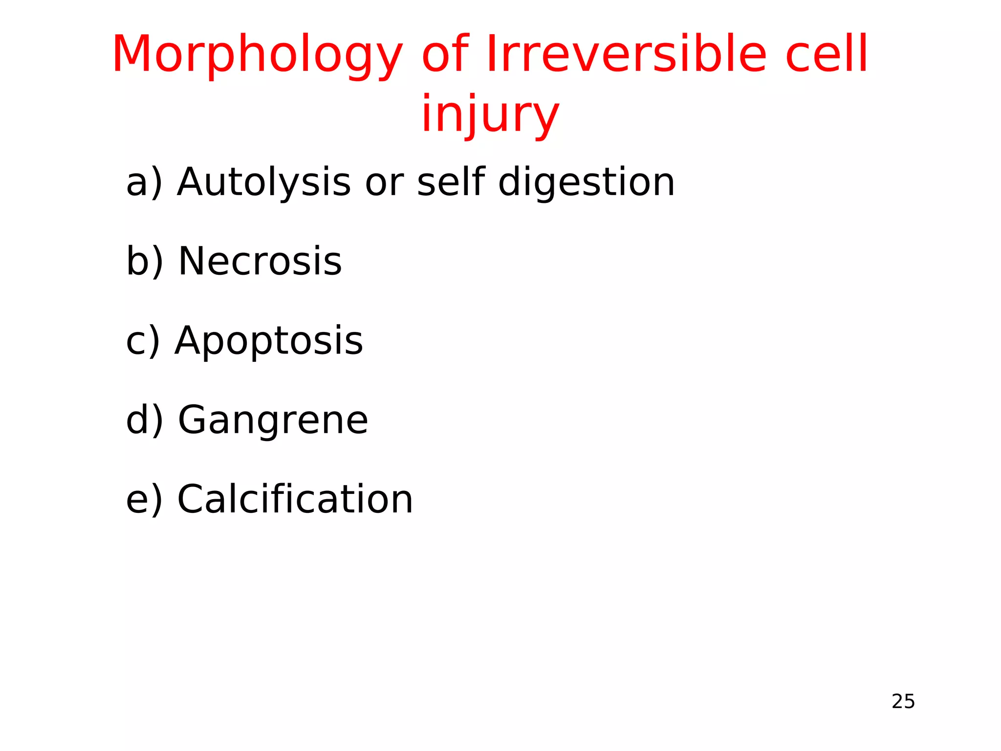 Principles of cell injury and cellular adaptation .ppt