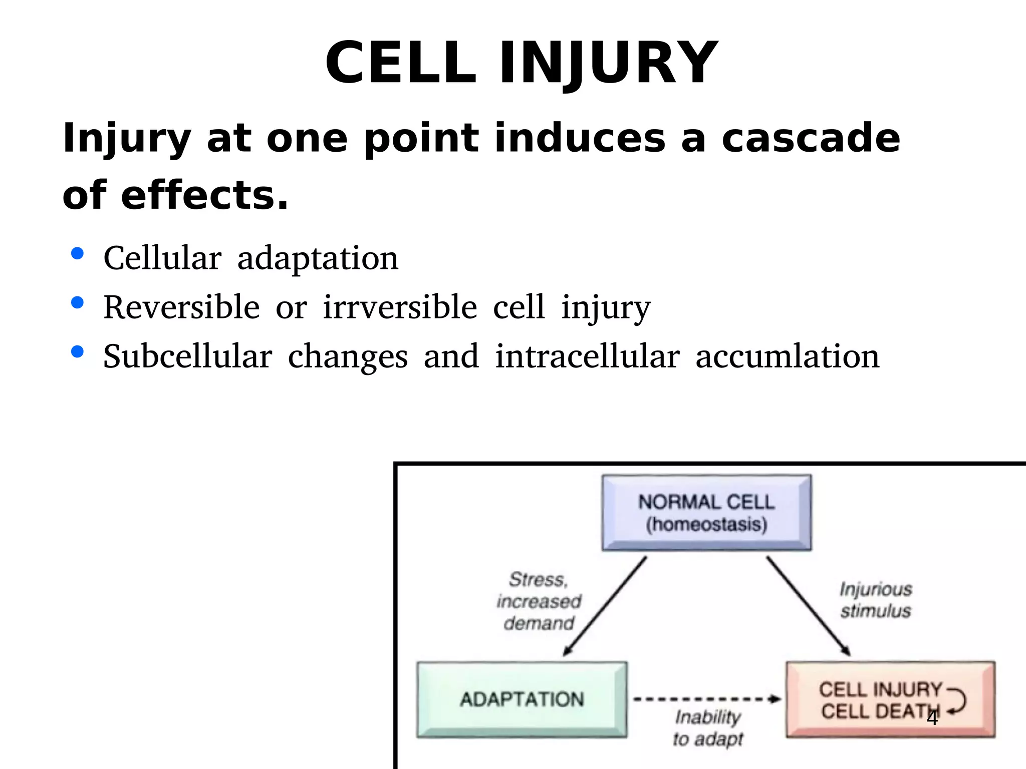 Principles of cell injury and cellular adaptation .ppt