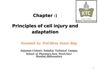 Principles of cell injury and cellular adaptation .ppt