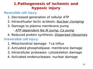 Principles of cell injury and cellular adaptation .ppt