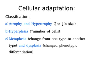 Principles of cell injury and cellular adaptation .ppt