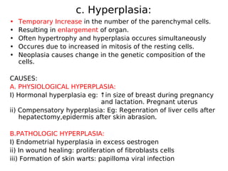 Principles of cell injury and cellular adaptation .ppt