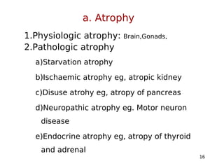 Principles of cell injury and cellular adaptation .ppt