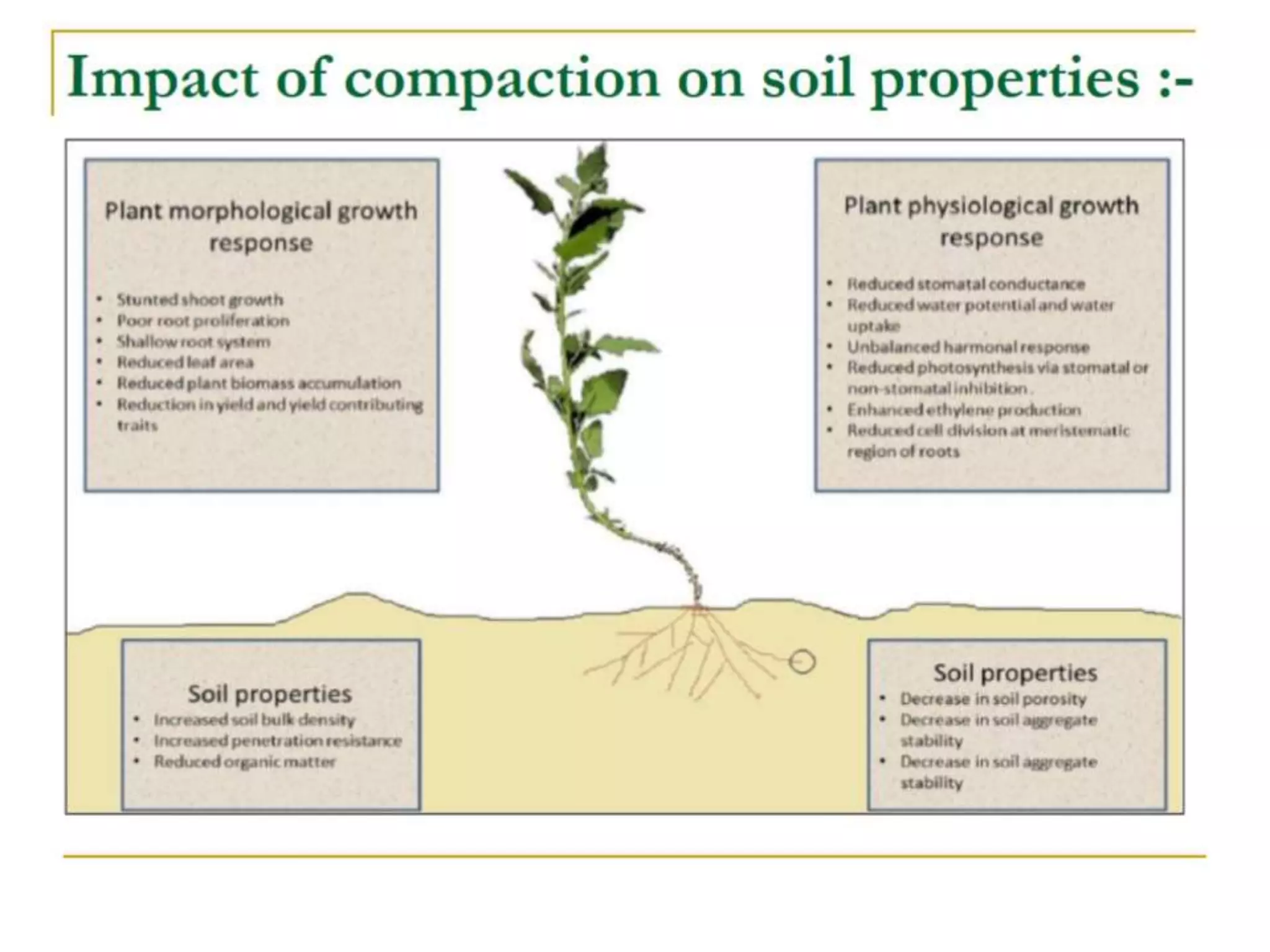 Compacted Soils | PPTX