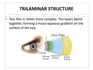 Lecture on Composition of Tear Film & Dry Eye For 4th Year MBBS ...