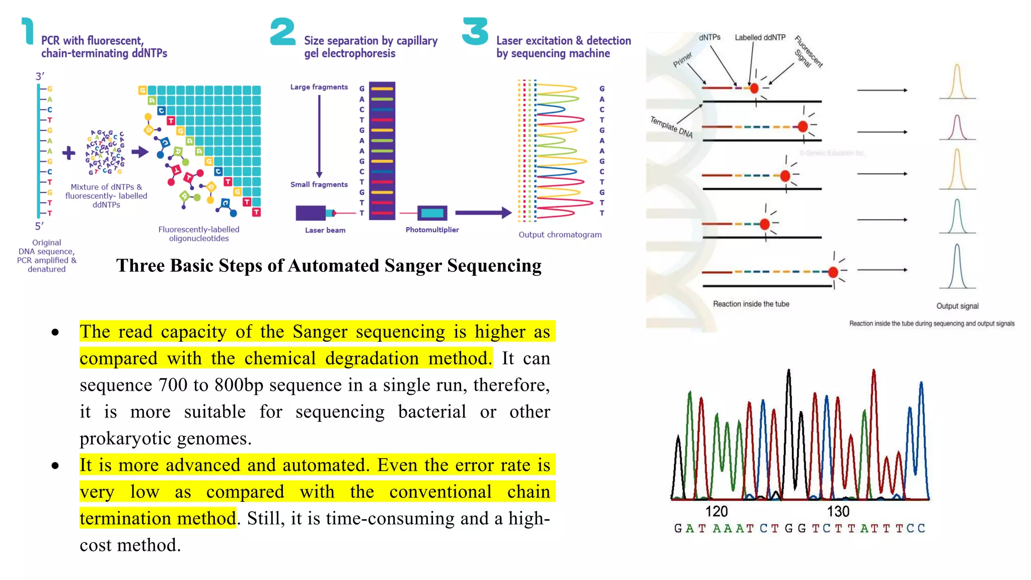 Lecture on DNA sequencing | PDF