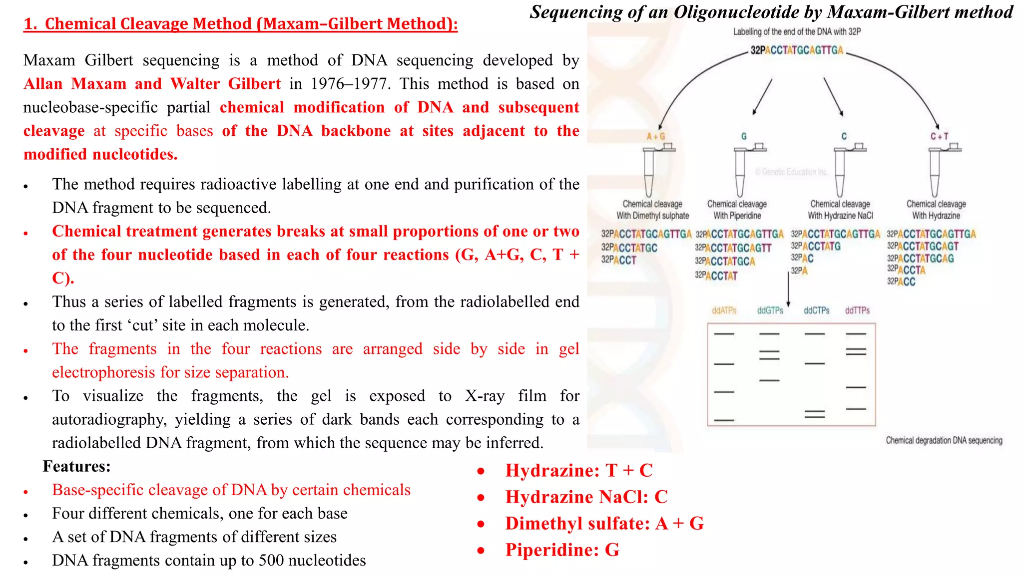 Lecture on DNA sequencing | PDF