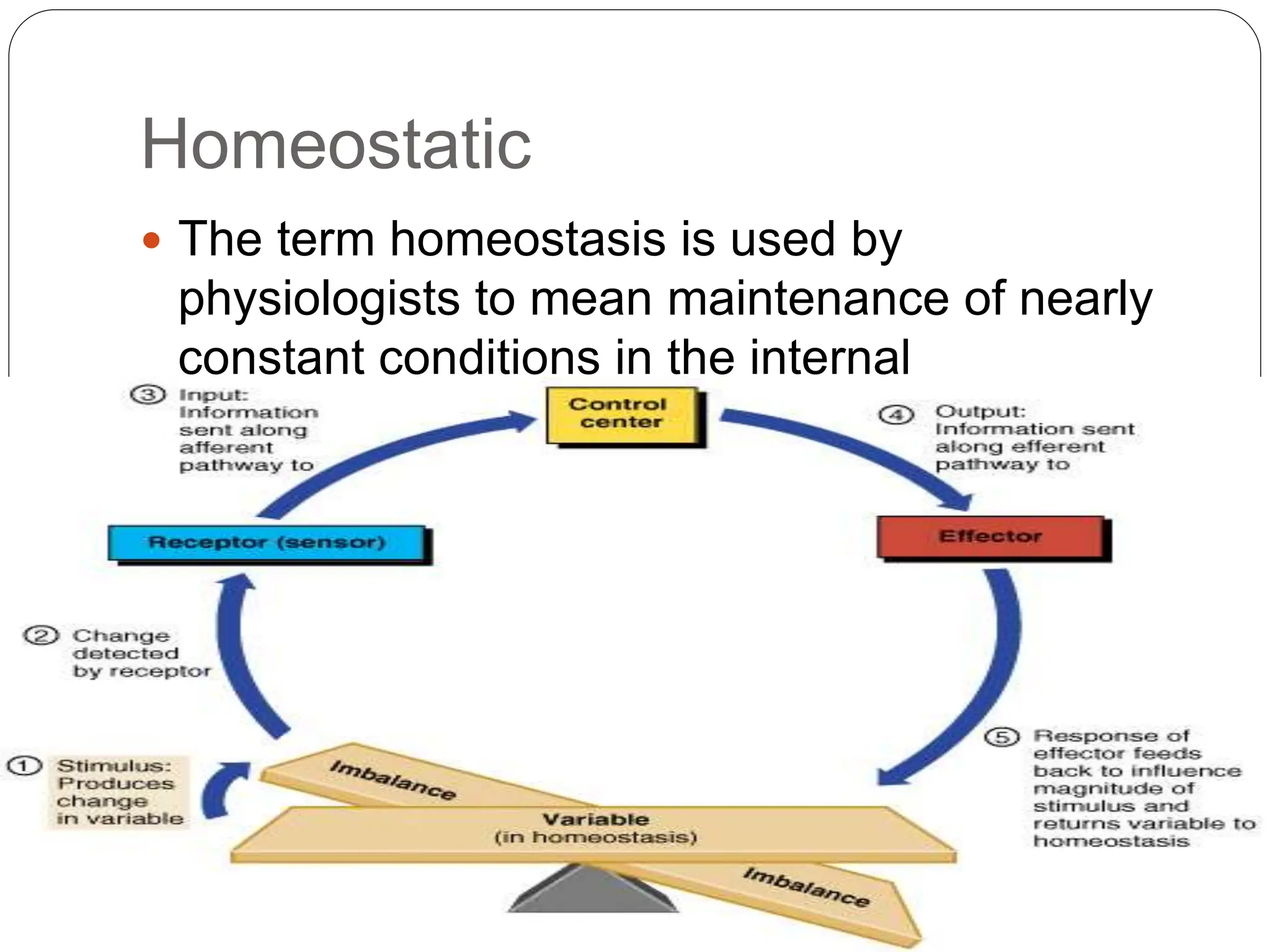 Introduction to systemic Physiology lecture one | PPTX