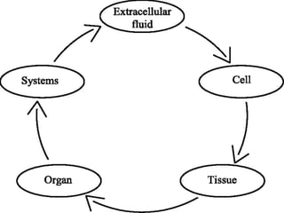 Introduction to systemic Physiology lecture one | PPT
