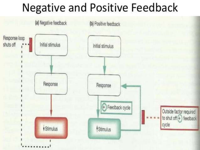Introduction to systemic Physiology lecture one | PPT