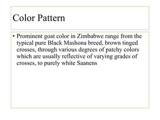 Lecture One: Goat Production and Management | PPTX