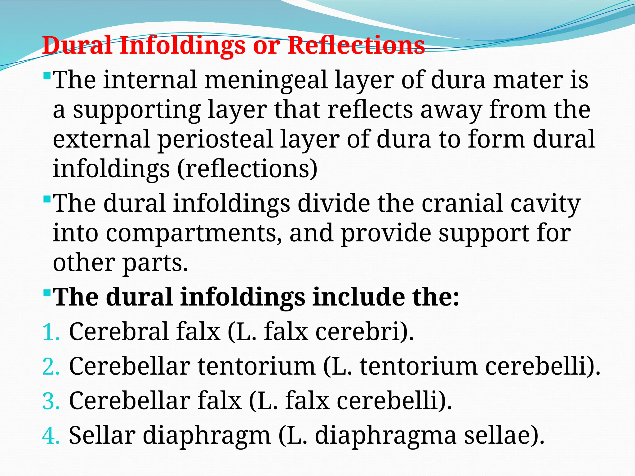LECTURE ONE ANATOMY OF HEAD AND NECK AND NEURO ANATOMY.pptx