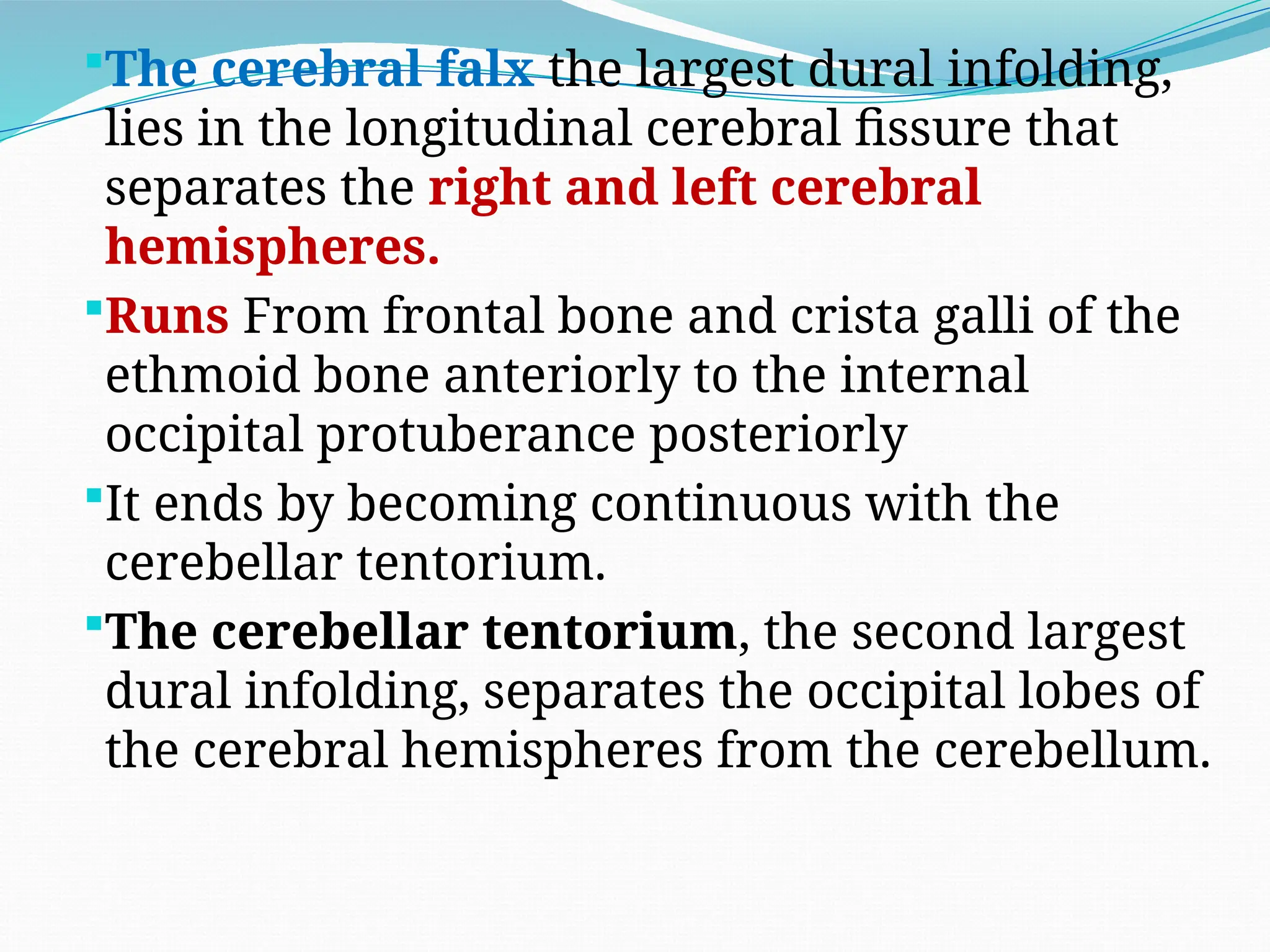 LECTURE ONE ANATOMY OF HEAD AND NECK AND NEURO ANATOMY.pptx