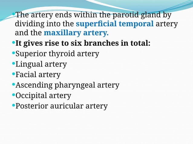 LECTURE ONE ANATOMY OF HEAD AND NECK AND NEURO ANATOMY.pptx