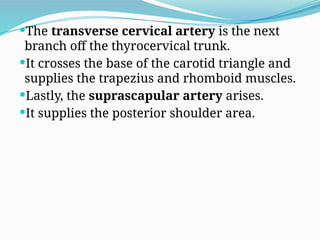 LECTURE ONE ANATOMY OF HEAD AND NECK AND NEURO ANATOMY.pptx