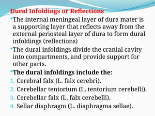 LECTURE ONE ANATOMY OF HEAD AND NECK AND NEURO ANATOMY.pptx