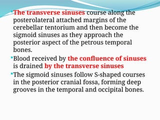 LECTURE ONE ANATOMY OF HEAD AND NECK AND NEURO ANATOMY.pptx