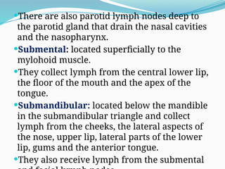 LECTURE ONE ANATOMY OF HEAD AND NECK AND NEURO ANATOMY.pptx