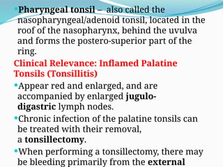 LECTURE ONE ANATOMY OF HEAD AND NECK AND NEURO ANATOMY.pptx