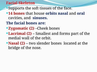LECTURE ONE ANATOMY OF HEAD AND NECK AND NEURO ANATOMY.pptx