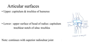 lecture_on_elbow_joint.pdf
