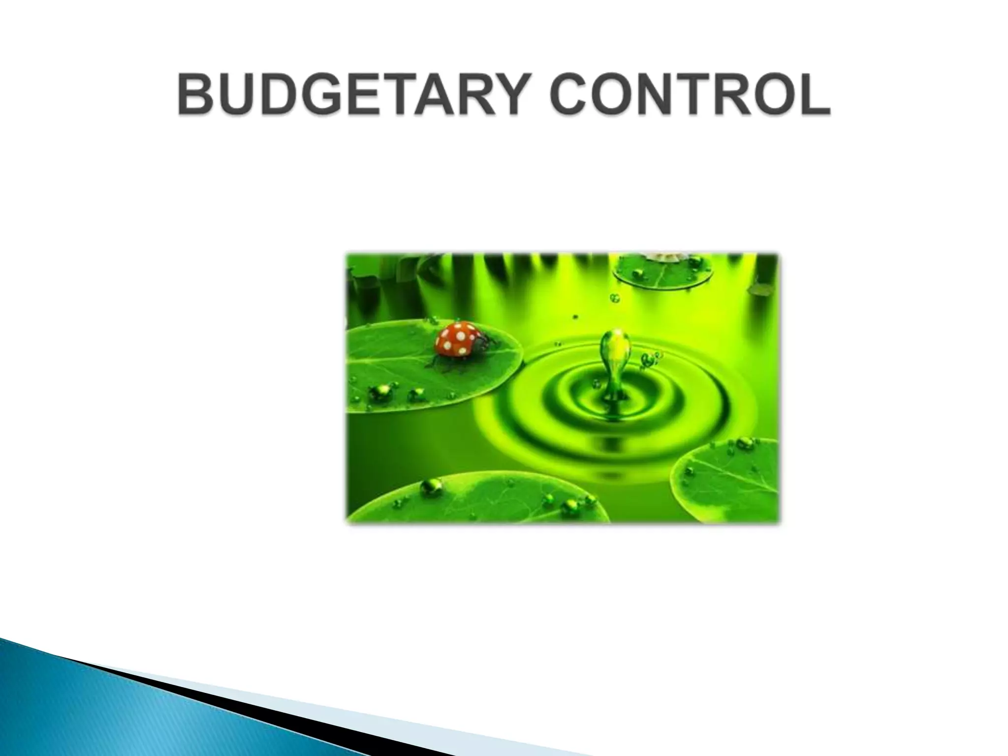 Lecture on financial rules control over expenditure classification of ...
