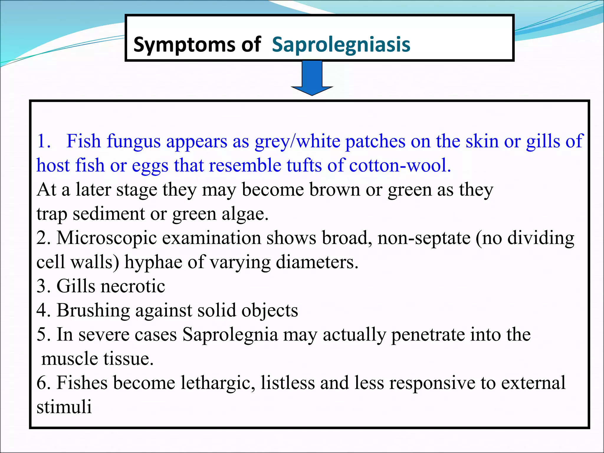 Lecture on Fish diseases.ppt