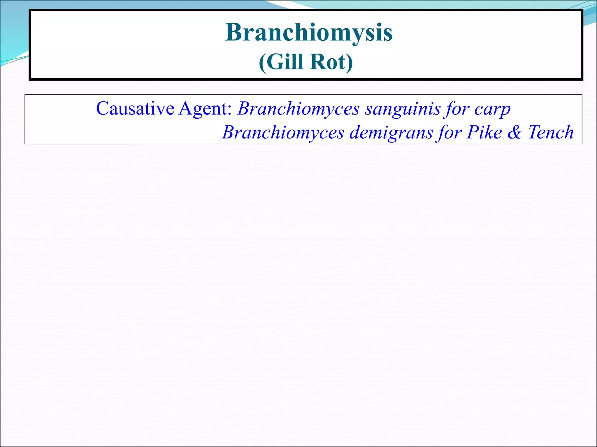 Lecture on Fish diseases.ppt