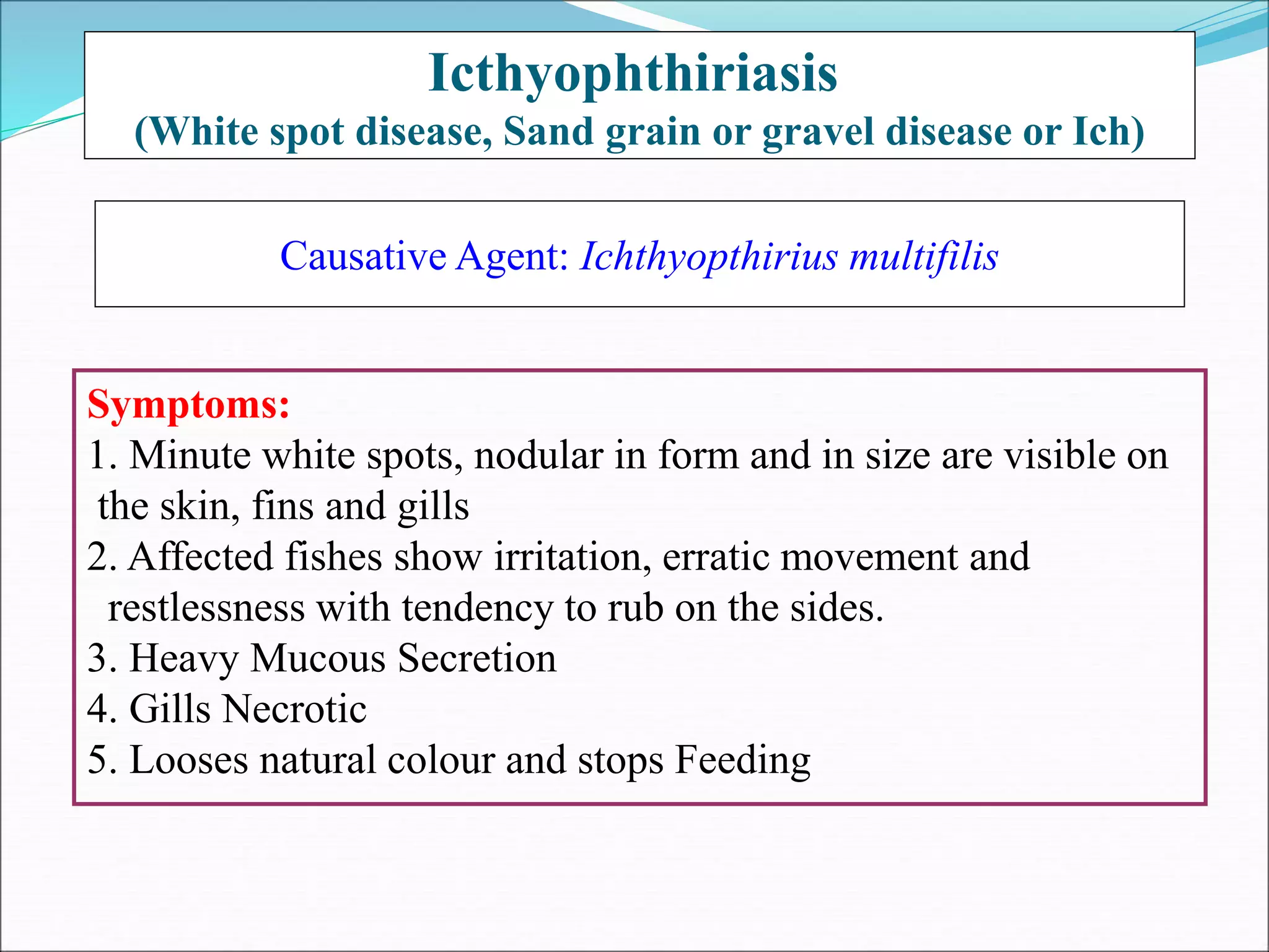 Lecture on Fish diseases.ppt