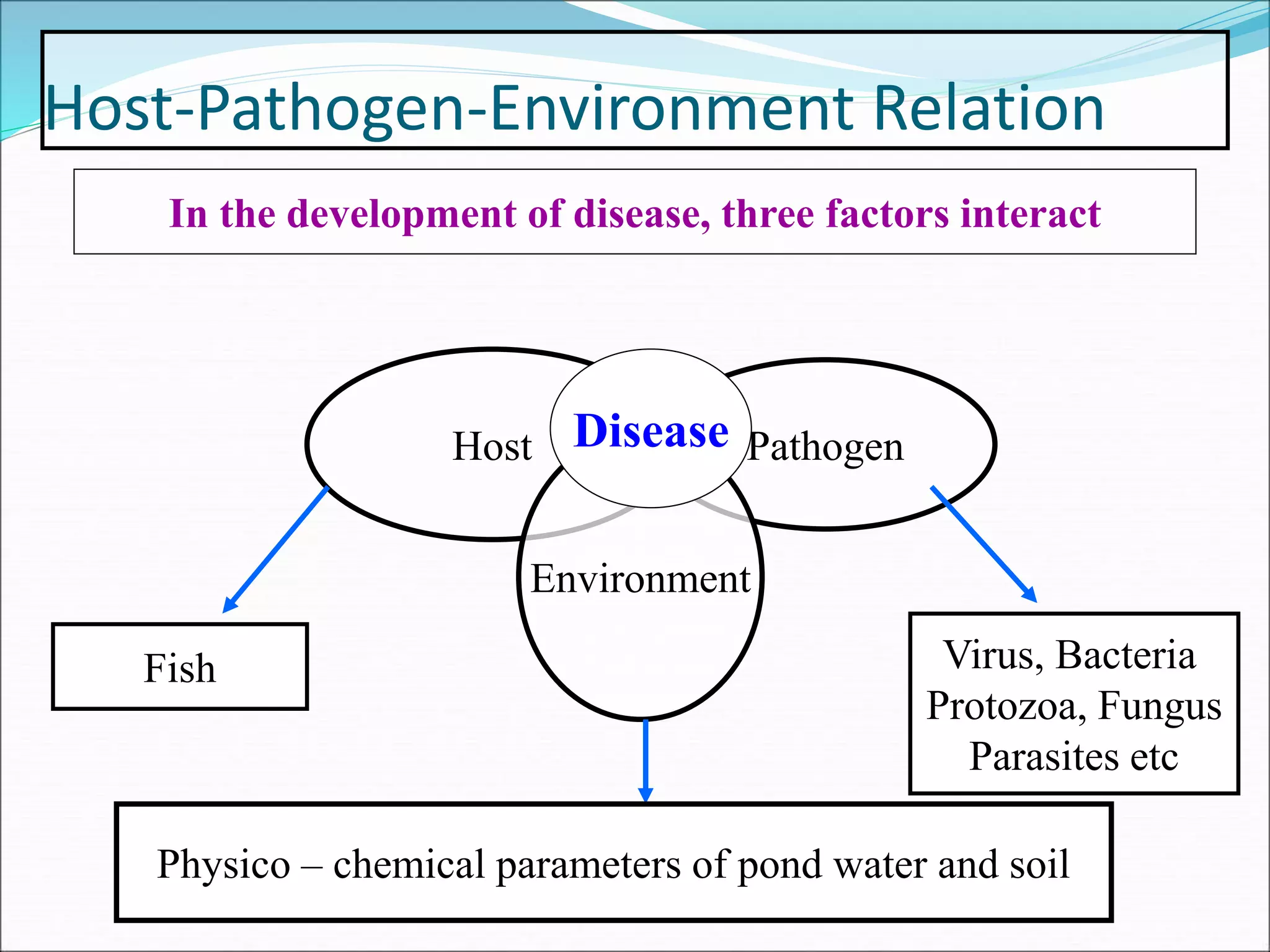 Lecture on Fish diseases.ppt