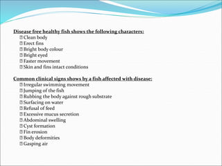 Lecture on Fish diseases.ppt