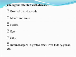 Lecture on Fish diseases.ppt