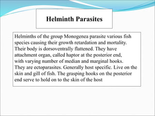 Lecture on Fish diseases.ppt