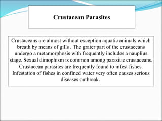Lecture on Fish diseases.ppt
